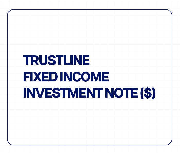 Trustline Capital Limited | Professional Asset Management